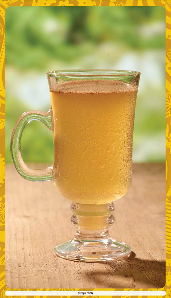 Hot Toddy! It's National Hot Toddy Day! - Thunder Bay Press