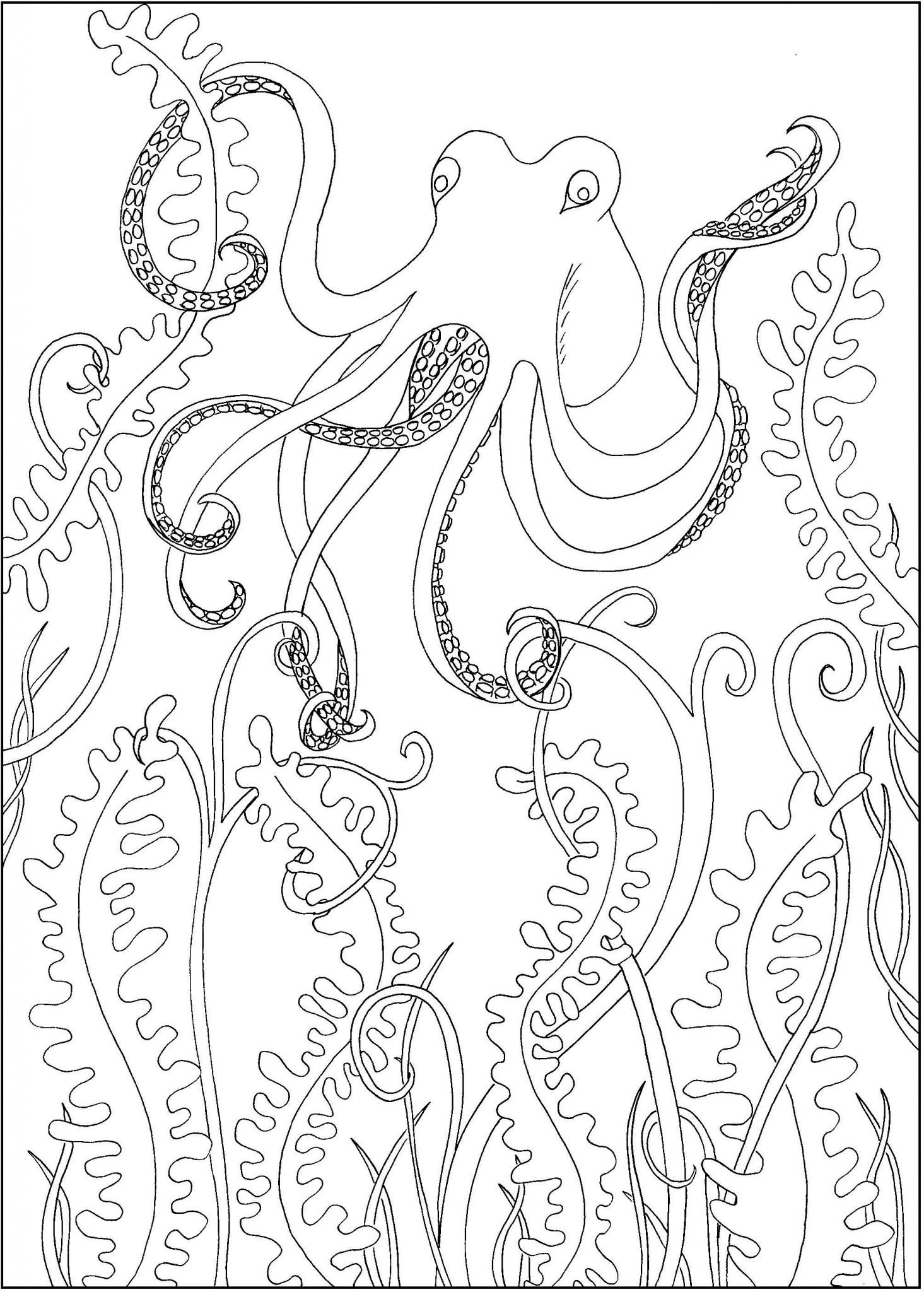 Printable Coloring Pages for Adults Who Just Want to Chill Out ...