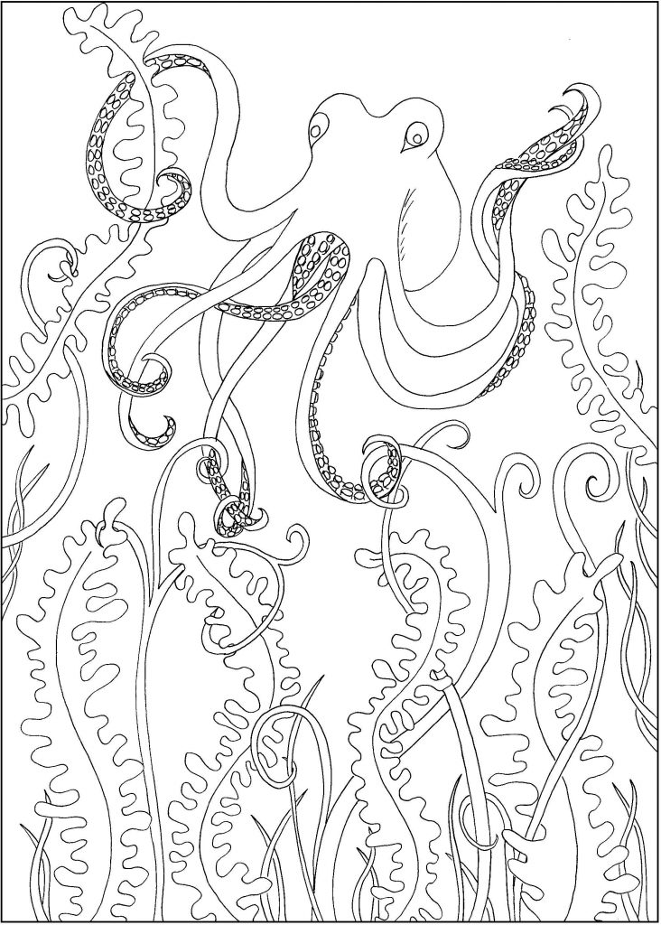 Printable Coloring Pages for Adults Who Just Want to Chill Out ...